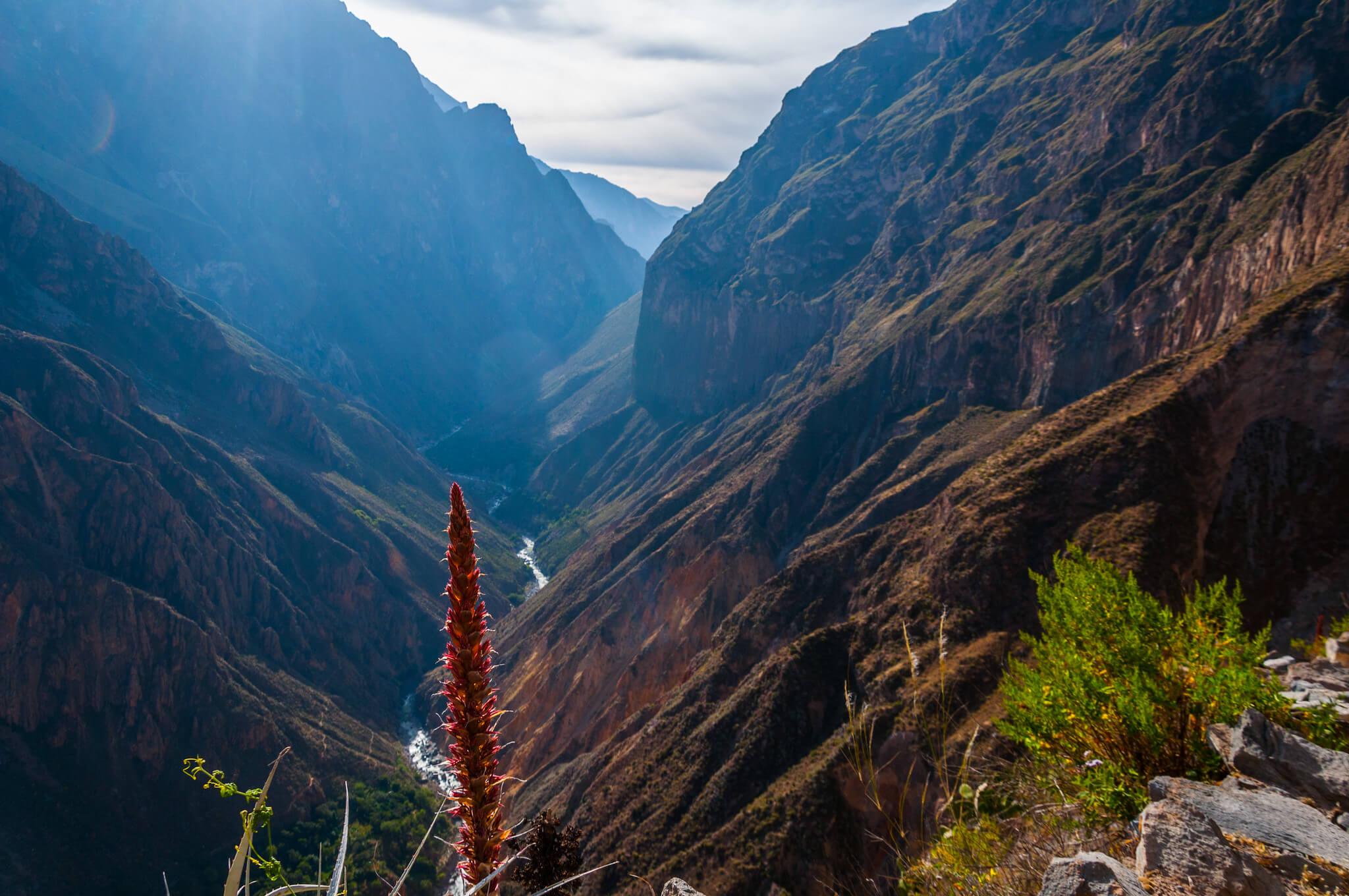 Colca Canyon: Exploring One of the World’s Deepest and Most Enchanting ...