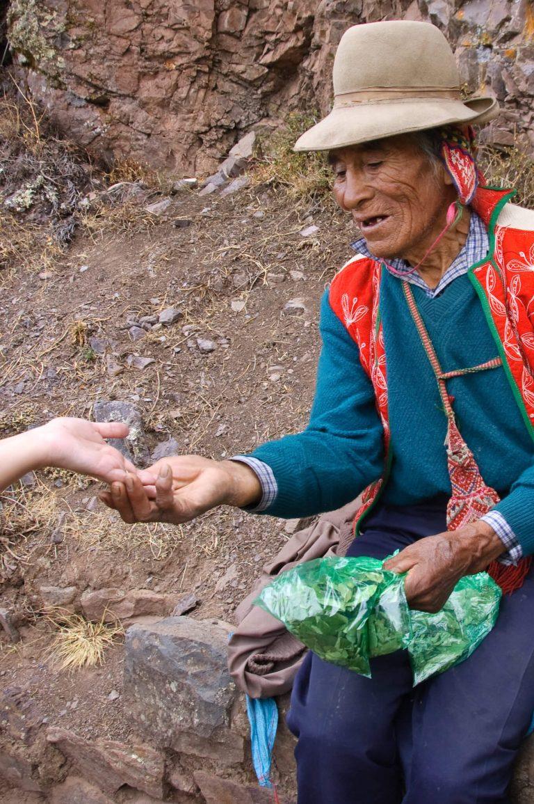 The Coca Leaf: Peru’s Ancient Tradition and Its Modern Significance ...