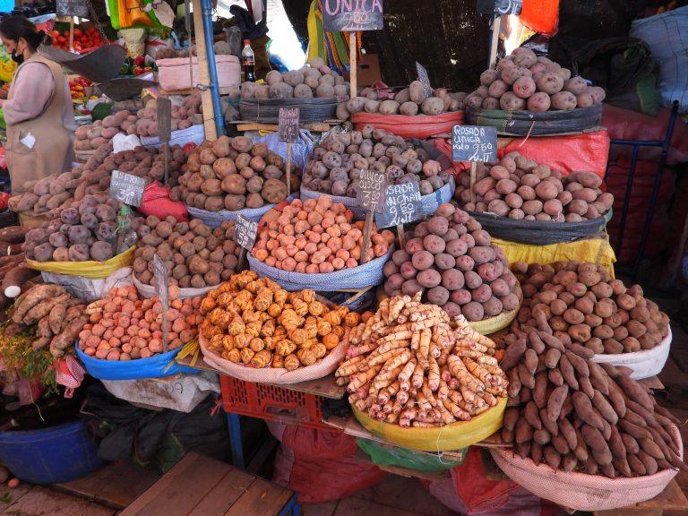 The Incredible Diversity of Potatoes in Peru: Over 3,000 Varieties and ...